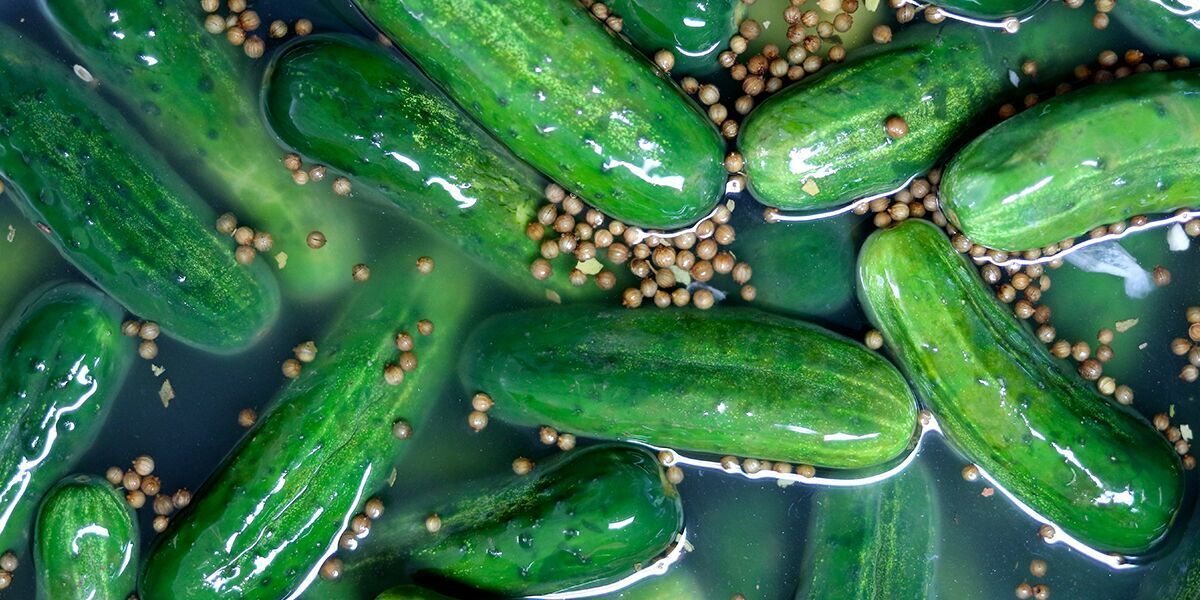 Lower East Side Pickle Day | Things to do in New York Kids