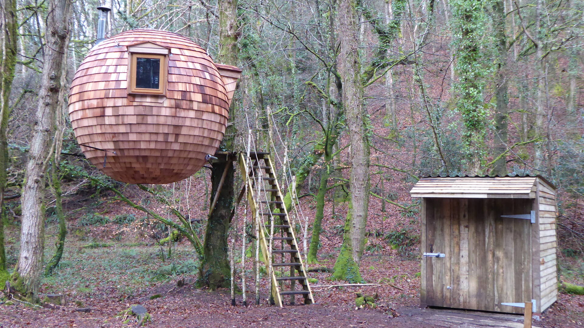 19 Incredible Treehouses to Book in the UK | Unique Stays UK