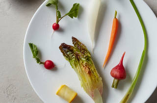 Hide Above | Restaurants in Piccadilly, London