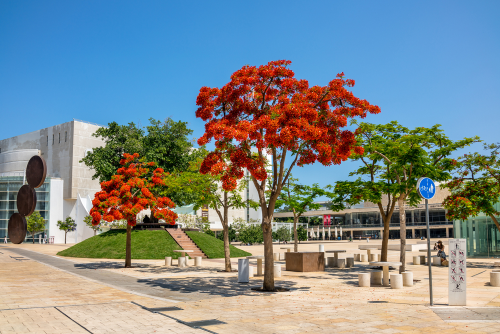 The best things to do in Israel this fall 2017 season