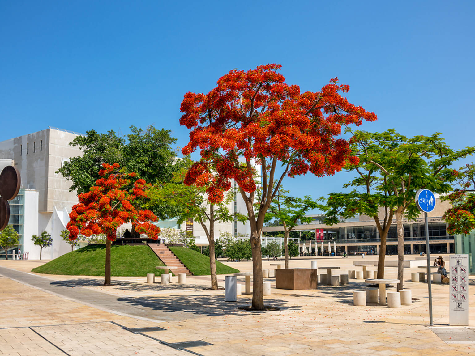 Things to do in Israel - Your Ultimate Guide To Israel