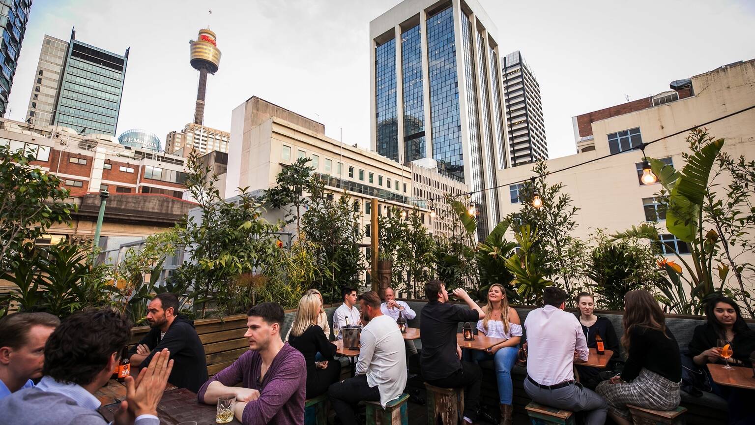 67 Best Bars in Sydney For Killer Cocktails And Cold Beers