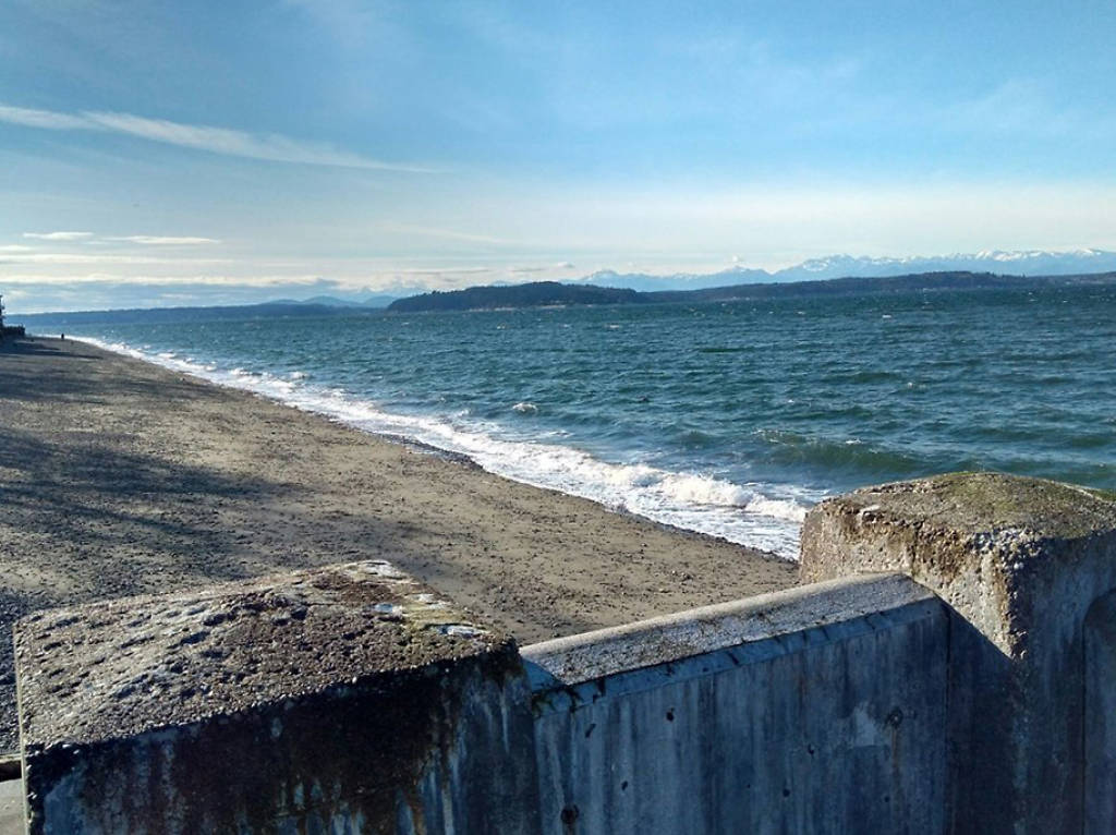 12 Awesome Seattle Beaches You Will Love