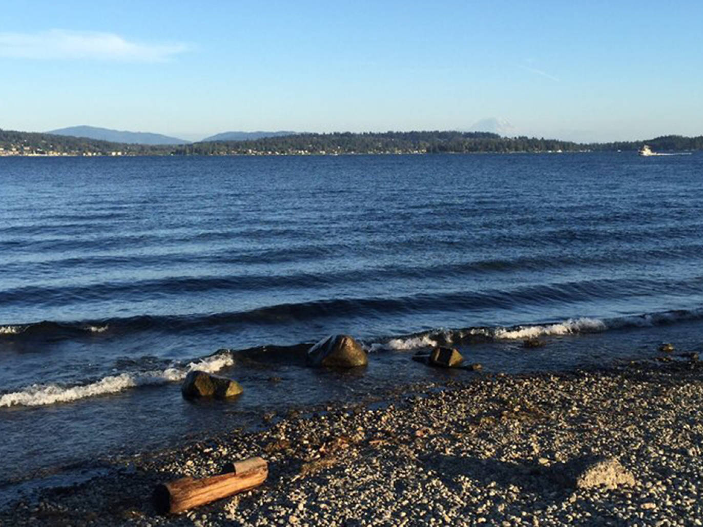 12 Awesome Seattle Beaches You Will Love