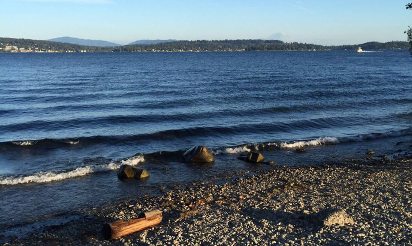 12 Awesome Seattle Beaches You Will Love