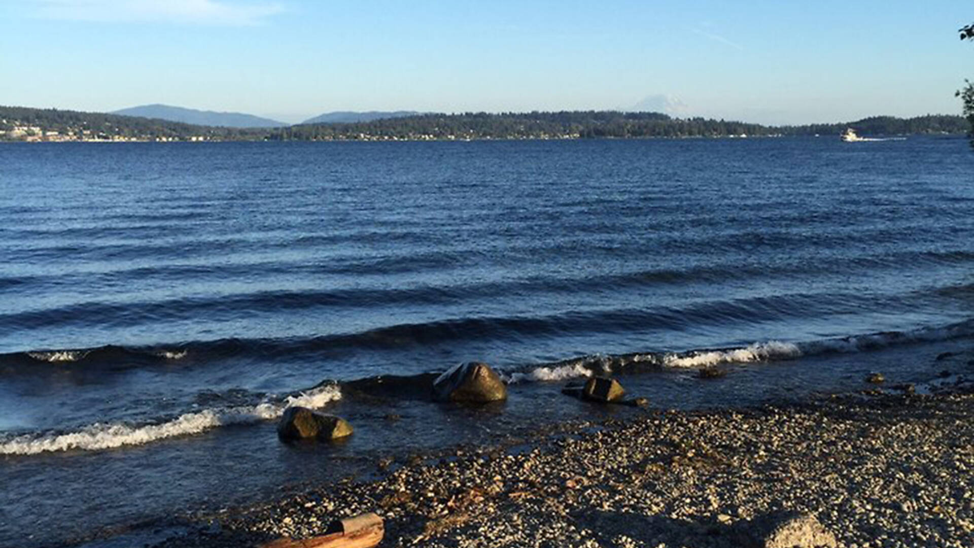 12 Awesome Seattle Beaches You Will Love