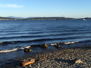 12 Awesome Seattle Beaches You Will Love
