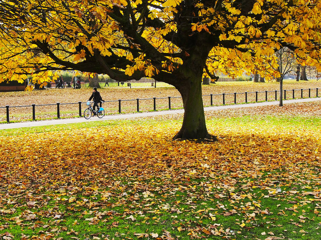 Nine Scenic Bike Rides Around London | Best London Cycle Routes