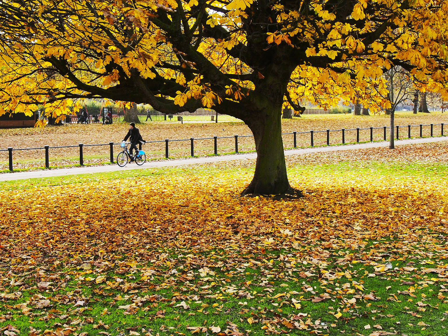 Nine Scenic Bike Rides Around London | Best London Cycle Routes