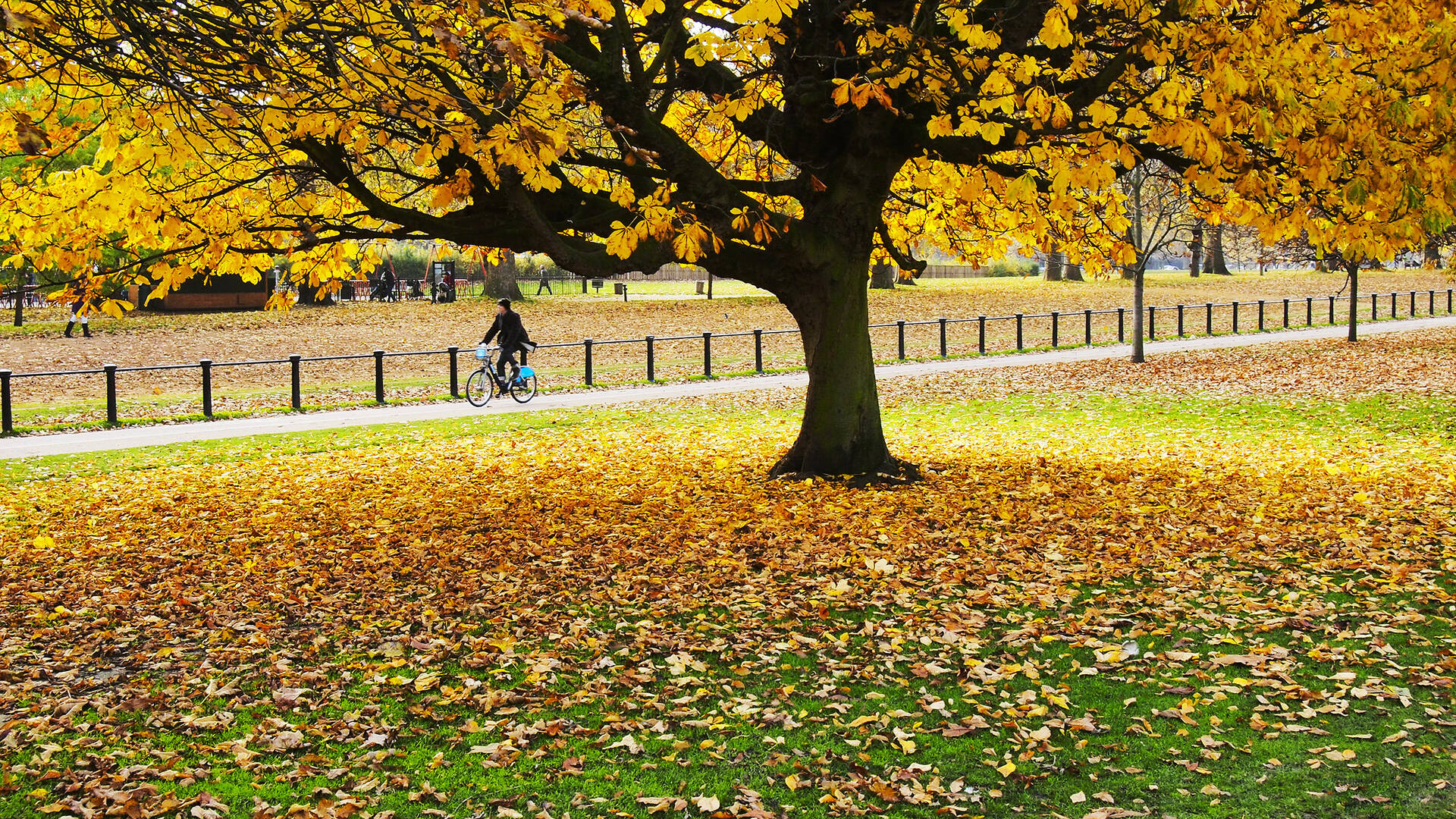 Nine Scenic Bike Rides Around London | Best London Cycle Routes
