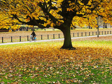 Nine Scenic Bike Rides Around London | Best London Cycle Routes