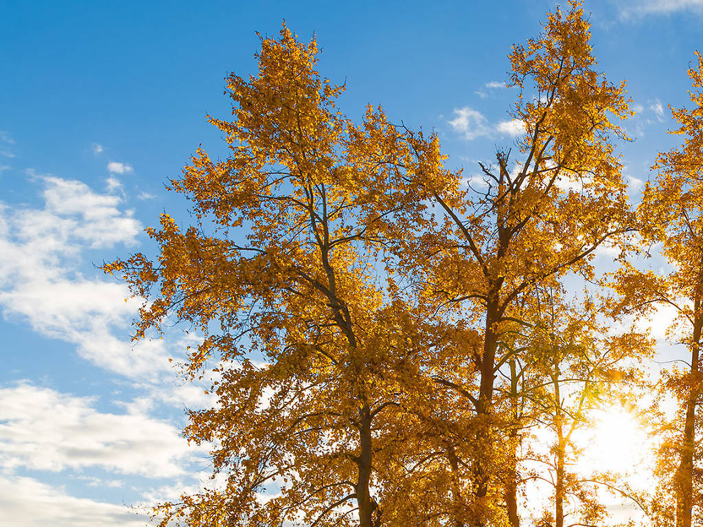 12 Best Parks in Seattle to Enjoy Year Round