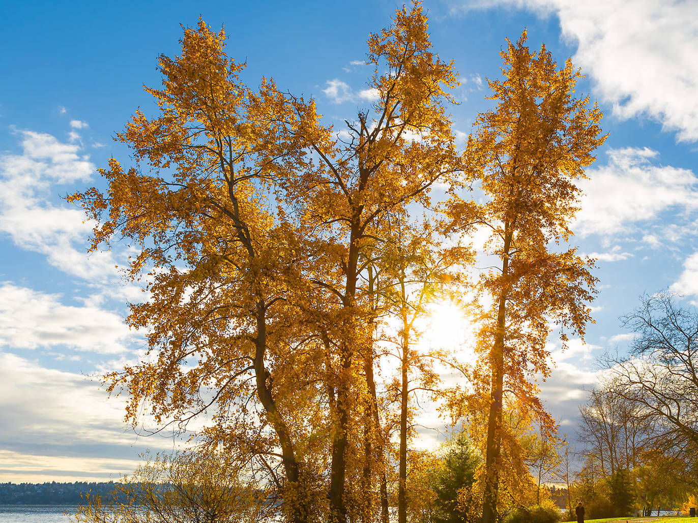 12 Best Parks in Seattle to Enjoy Year Round