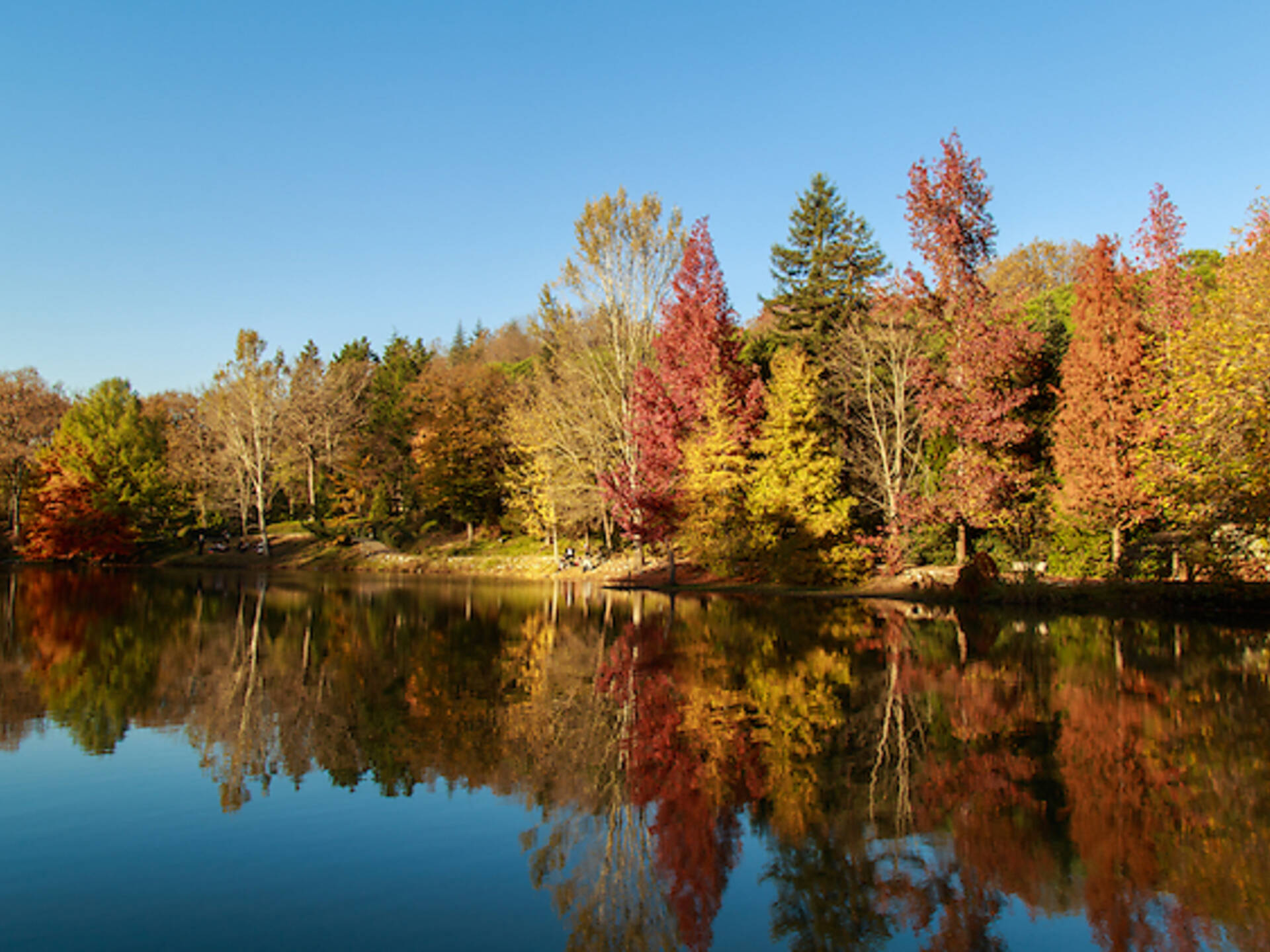 Sarıyer guide – the best things to do, eat and see – Time Out Istanbul