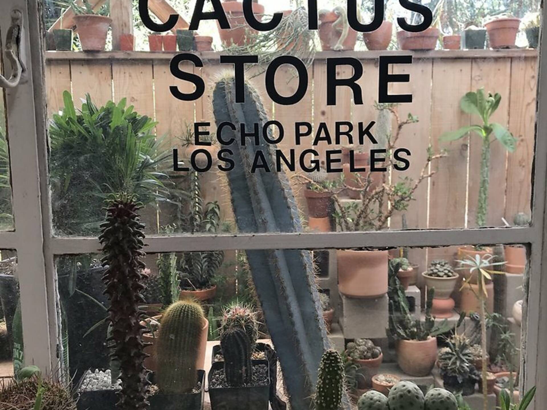 8 Cactus Gardens in L.A. for Succulent Obsessives