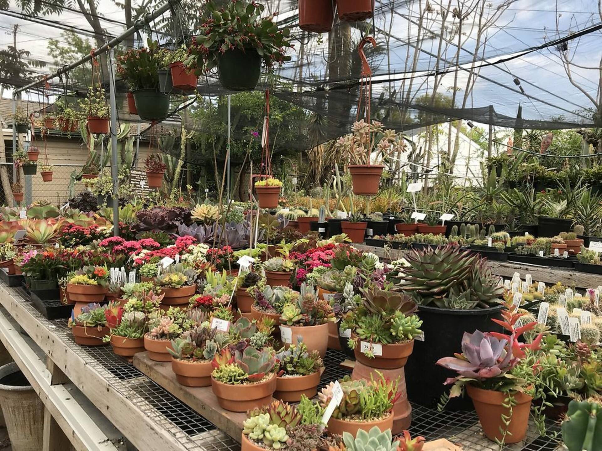 8 Cactus Gardens in L.A. for Succulent Obsessives