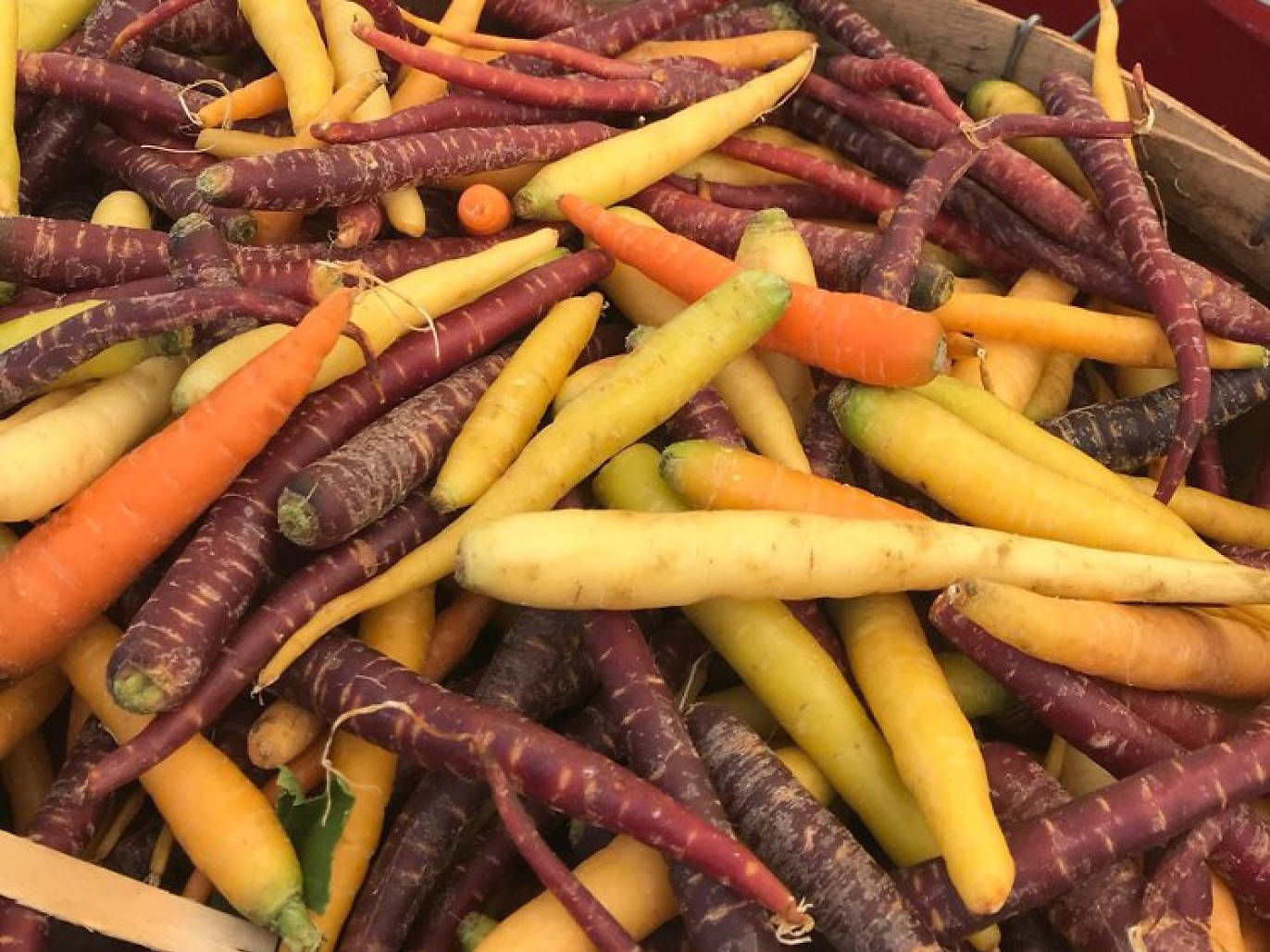 Boston Farmers Market Guide for Local Produce and Goods