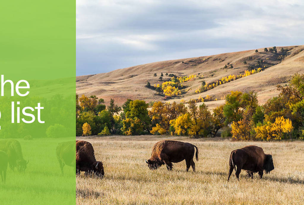 Things To Do in South Dakota | 12 Attractions to Check Out