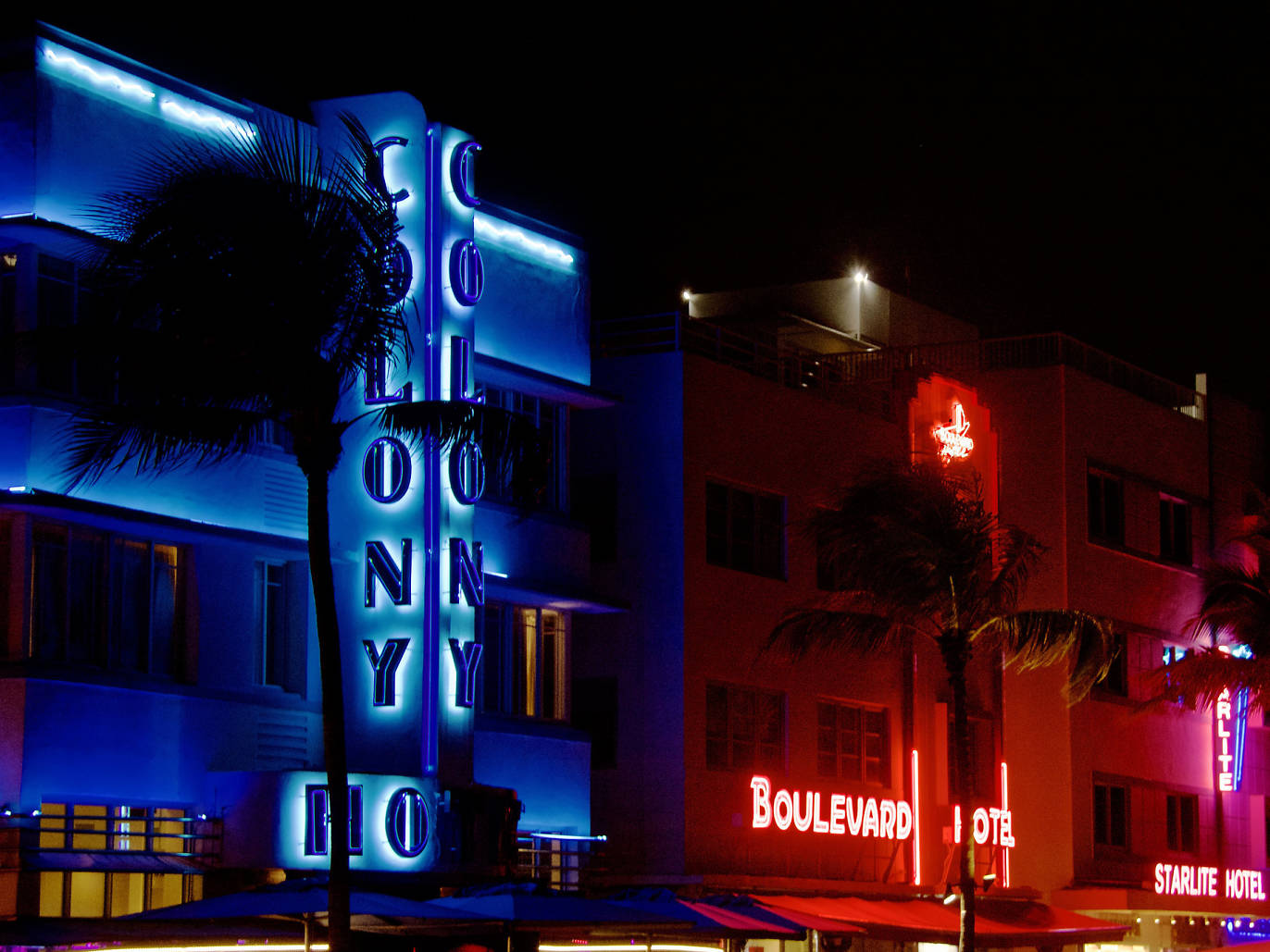 21 Best Miami Tours for Sightseeing, Eco-Excursions and More