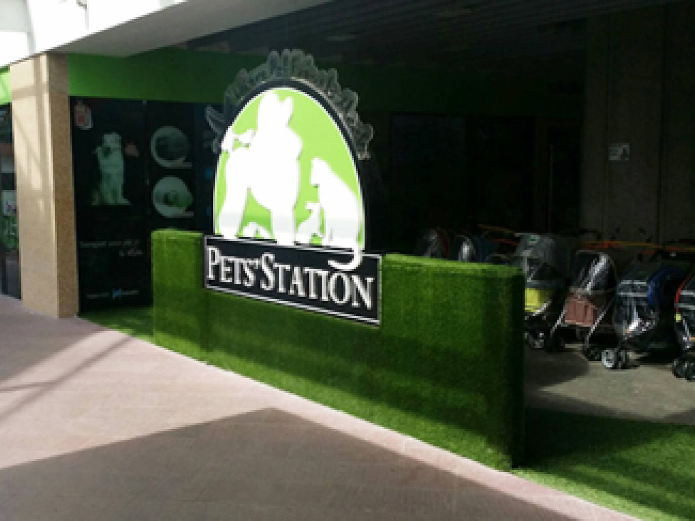 The Best Pet Shops in Singapore