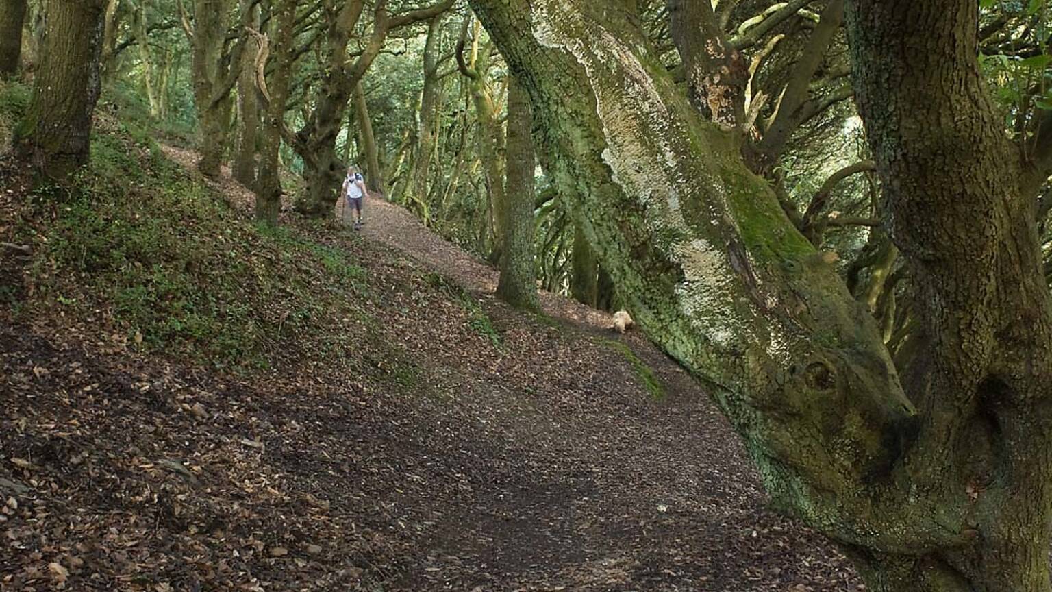 15 Magical Places To Visit in the UK