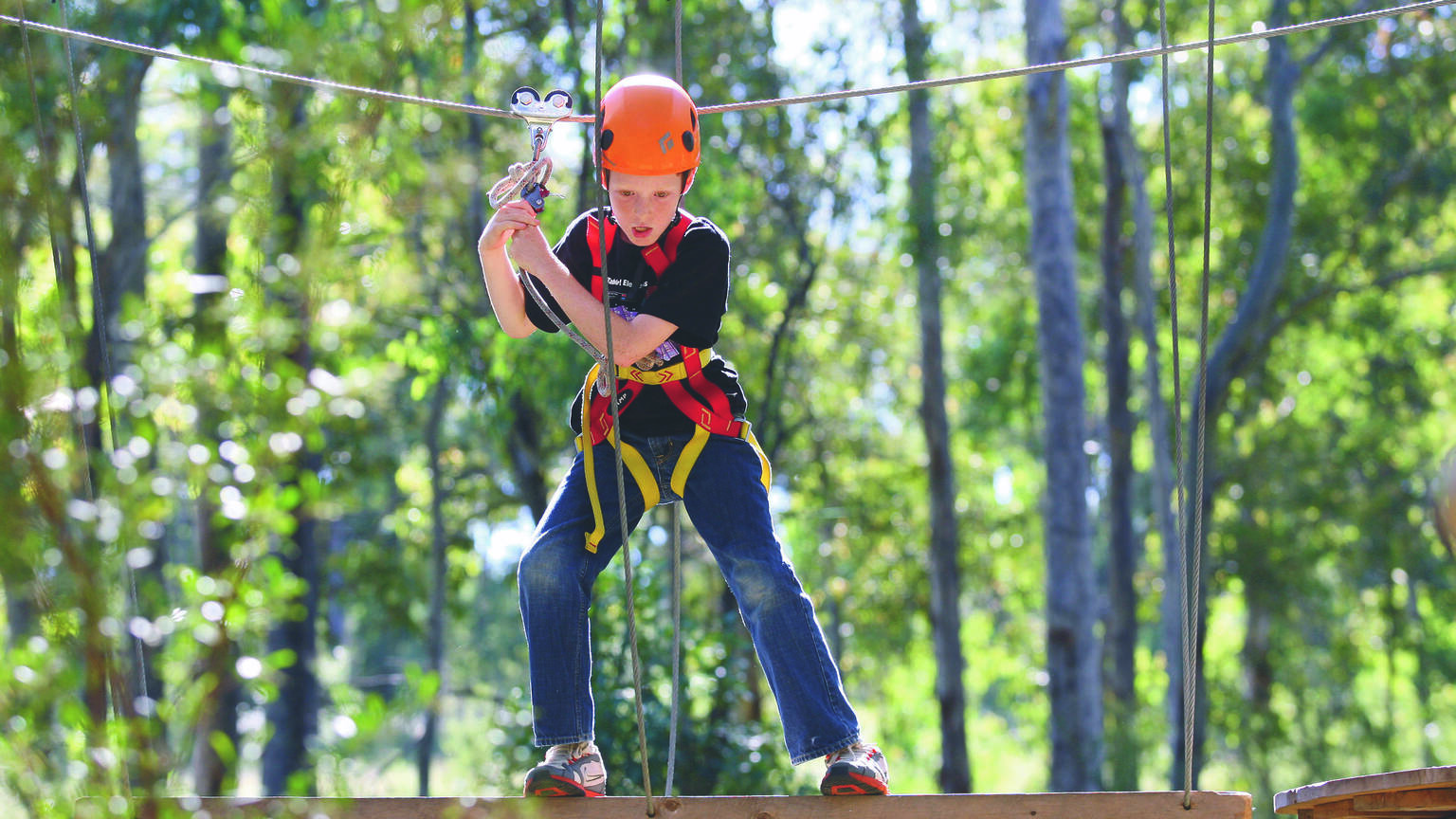 Treetops Adventure Park Western Sydney is for all ages