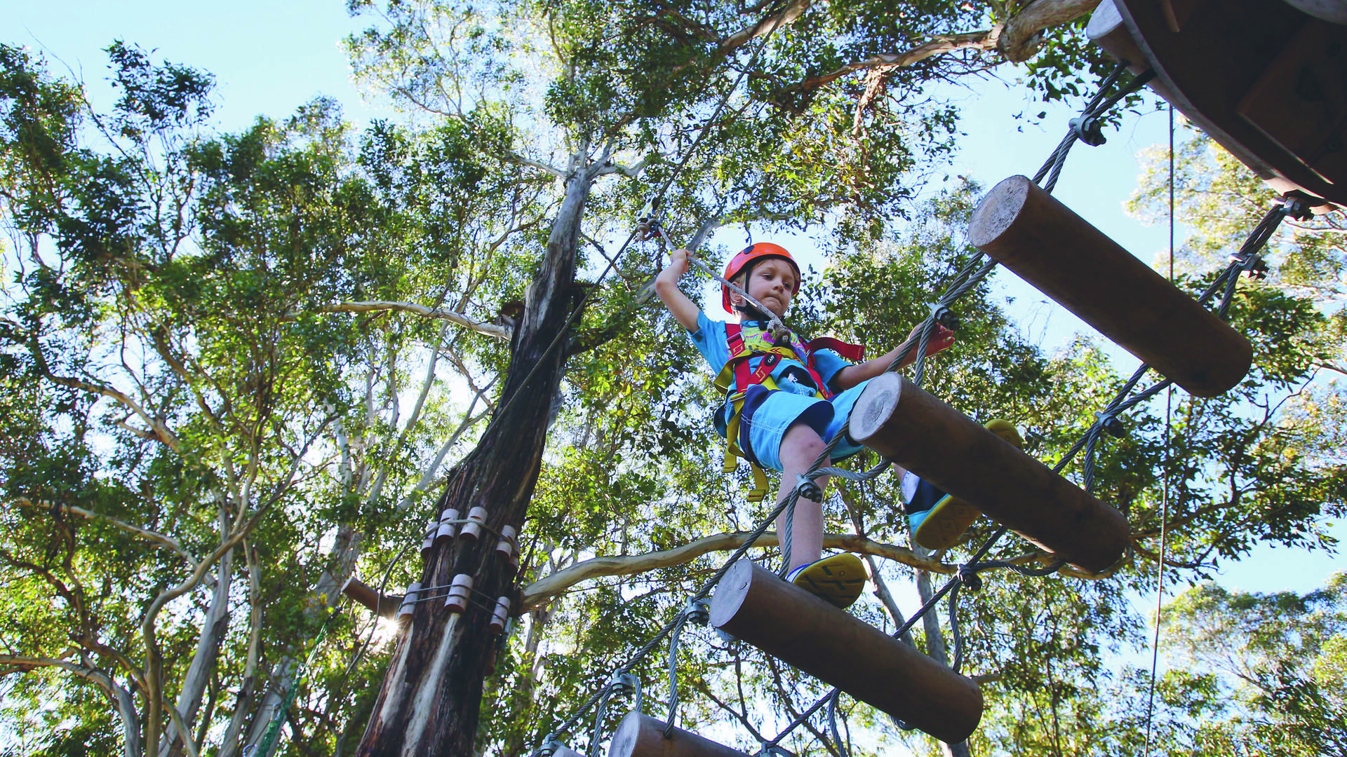 Treetops Adventure Park Western Sydney is for all ages