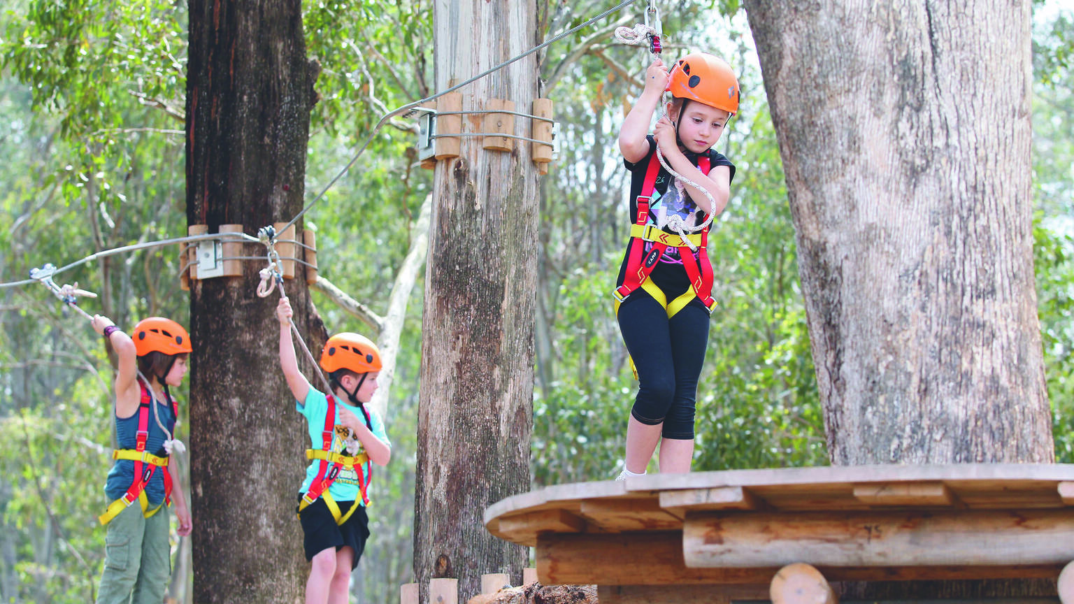 Treetops Adventure Park Western Sydney is for all ages