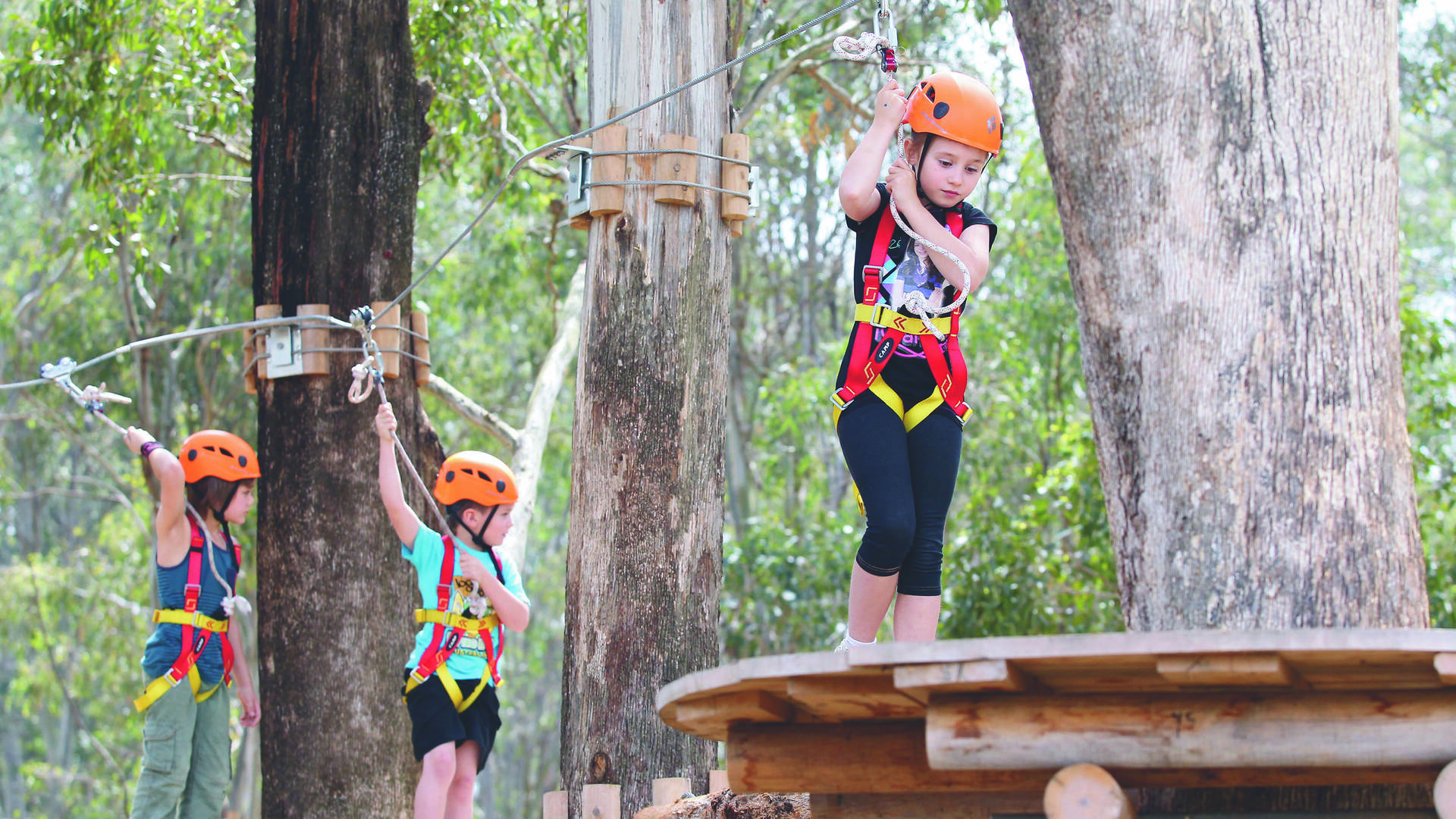Treetops Adventure Park Western Sydney is for all ages