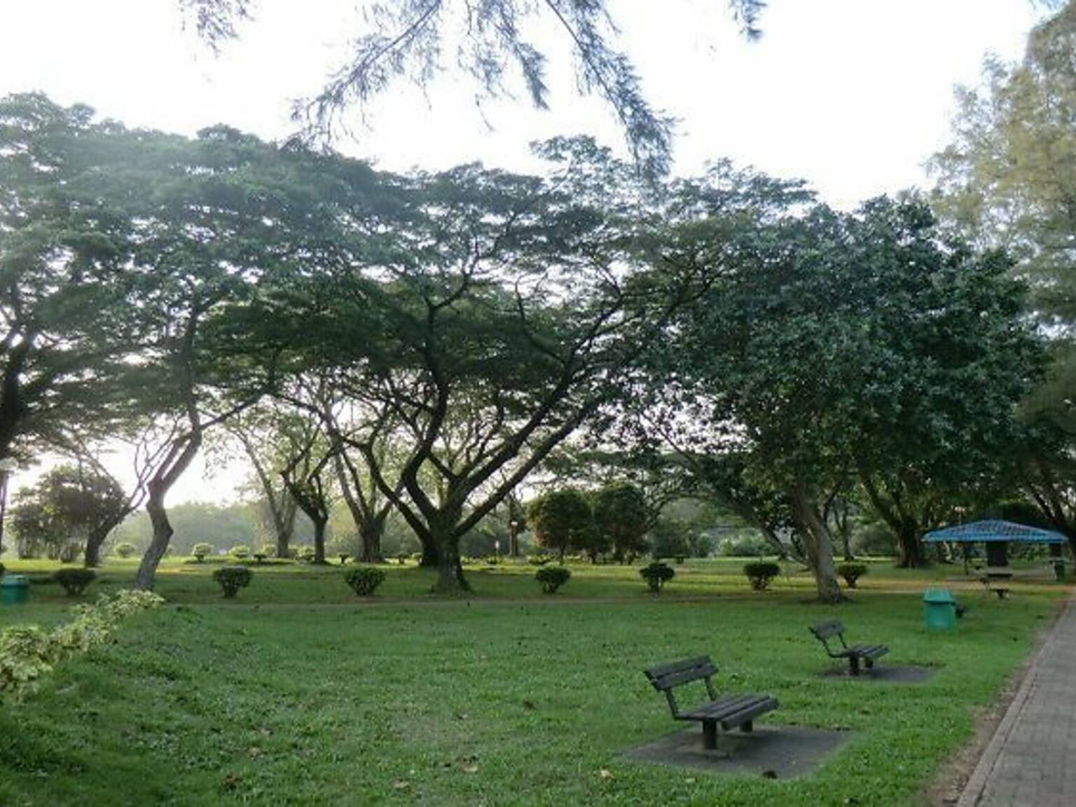 The Best Reservoir Parks In Singapore For Tranquil Waterside Walks