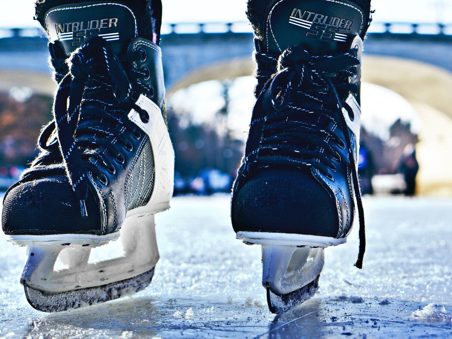 Best Ice Skating Rinks in Miami For Year-Round Fun ⛸️⛸️