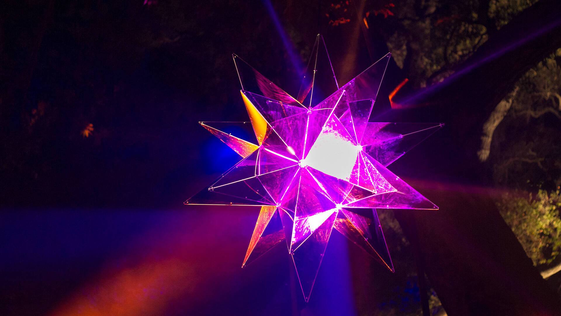'Enchanted: Forest of Light' is bringing magic back to Descanso Gardens ...