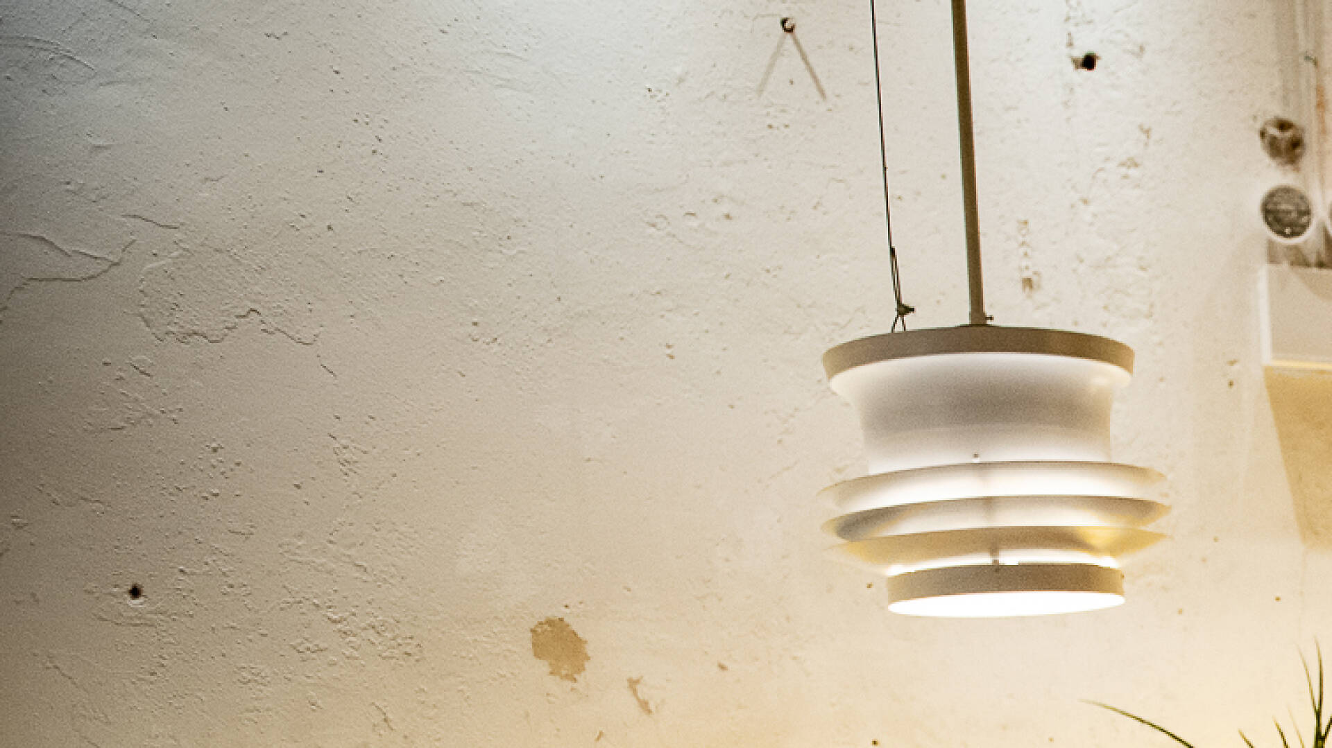 Oxomoco | Restaurants in Greenpoint, New York