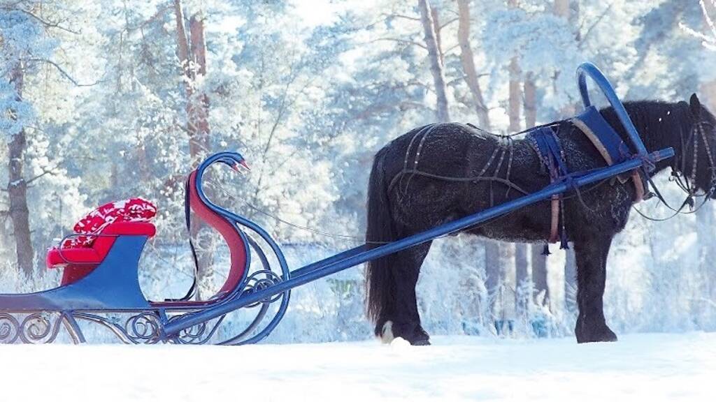 7 Best Sleigh Rides for Families To Take This Winter