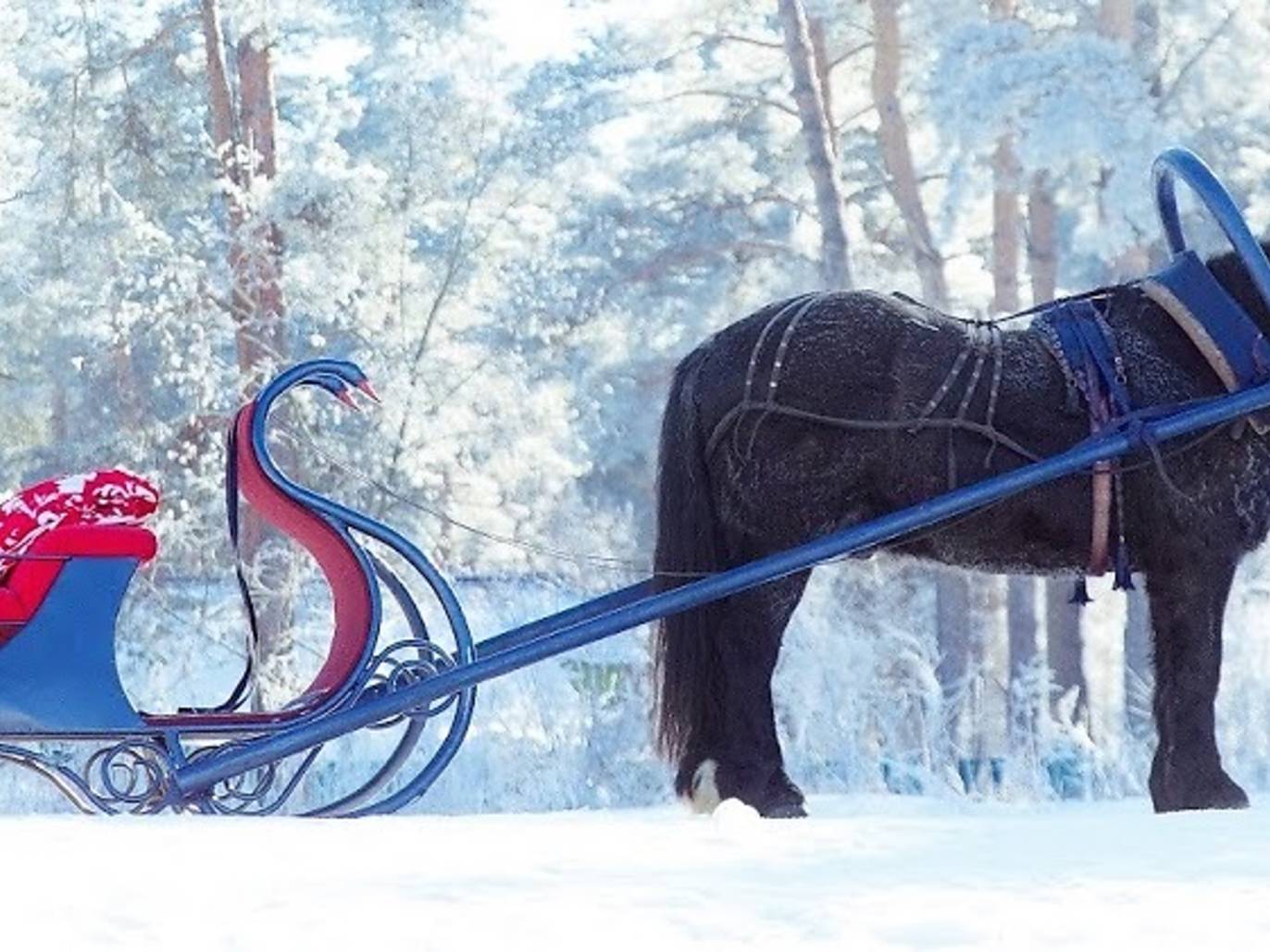 7 Best Sleigh Rides for Families To Take This Winter