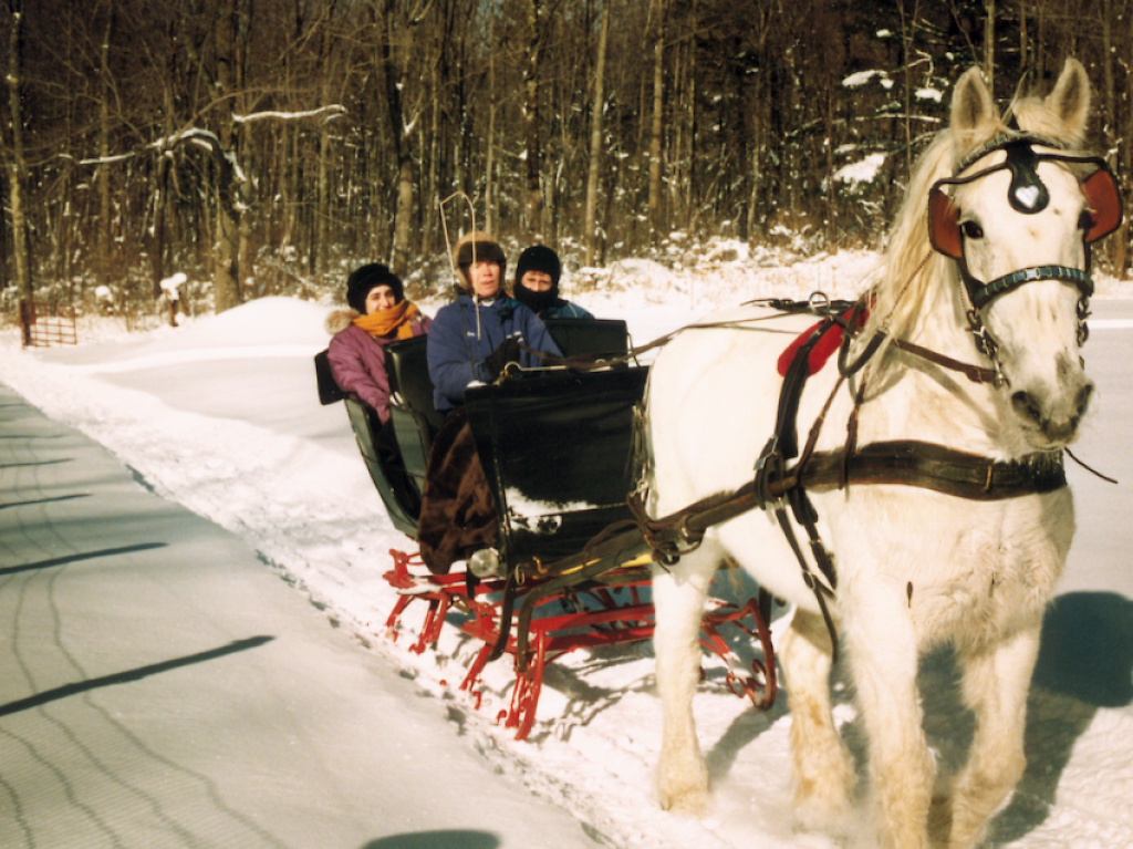 7 Best Sleigh Rides for Families To Take This Winter