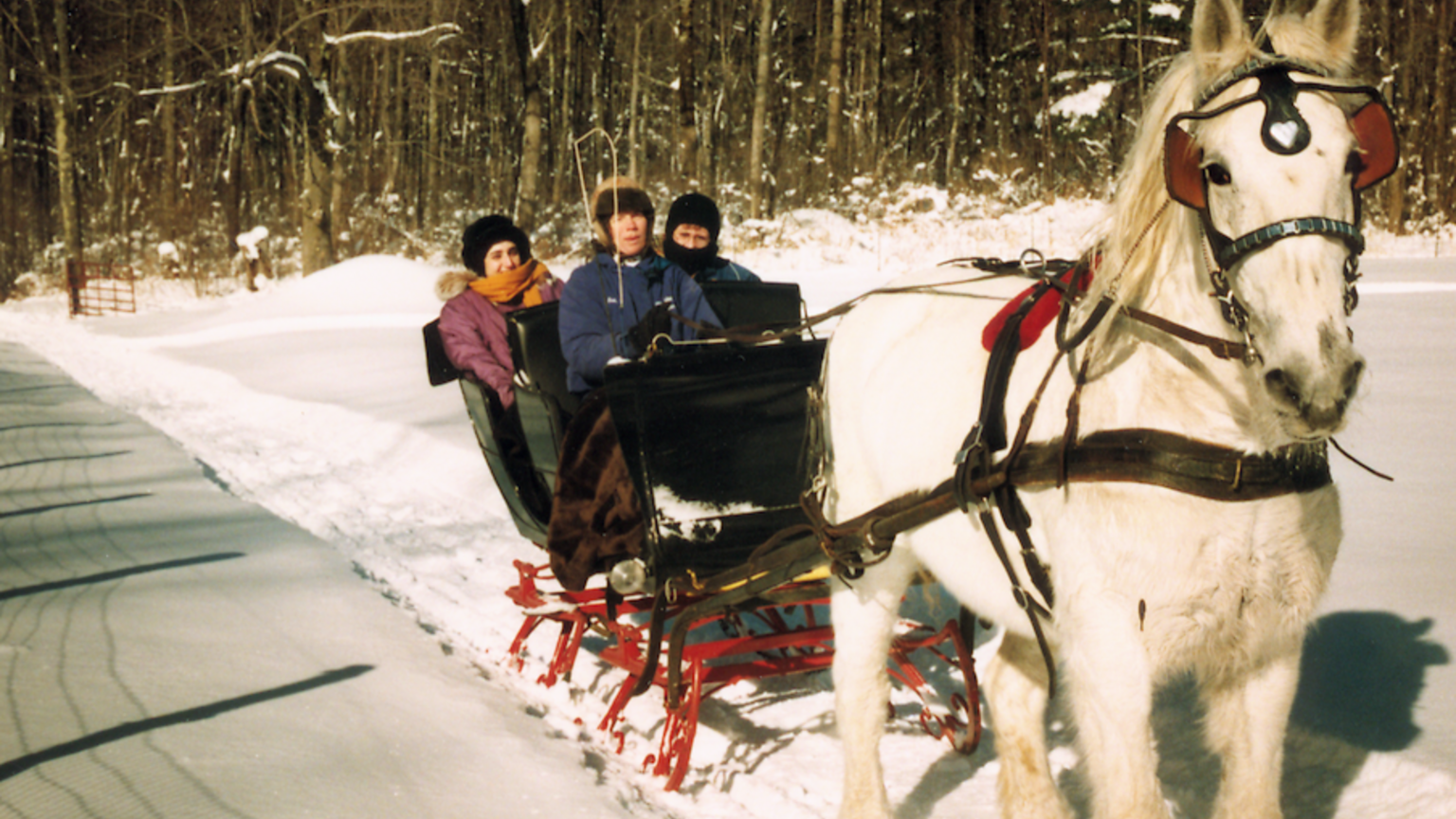 7 Best Sleigh Rides for Families To Take This Winter