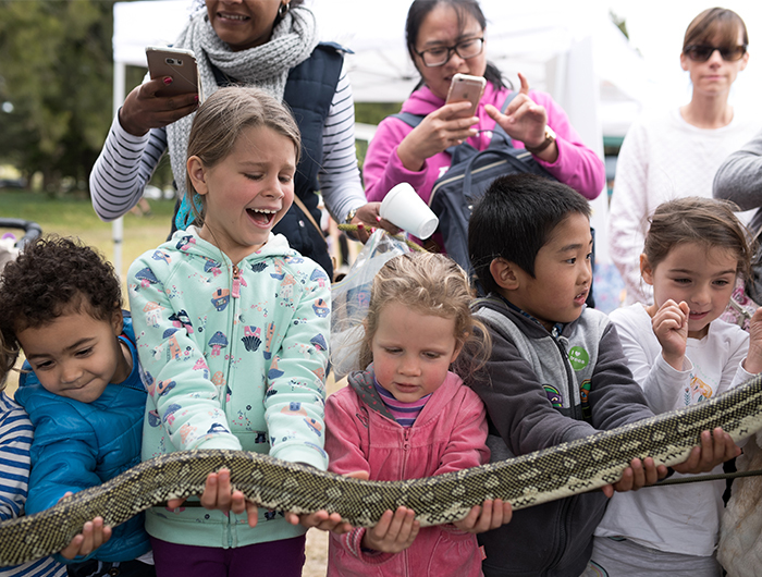 The Australian Wildlife Show | Kids in Sydney
