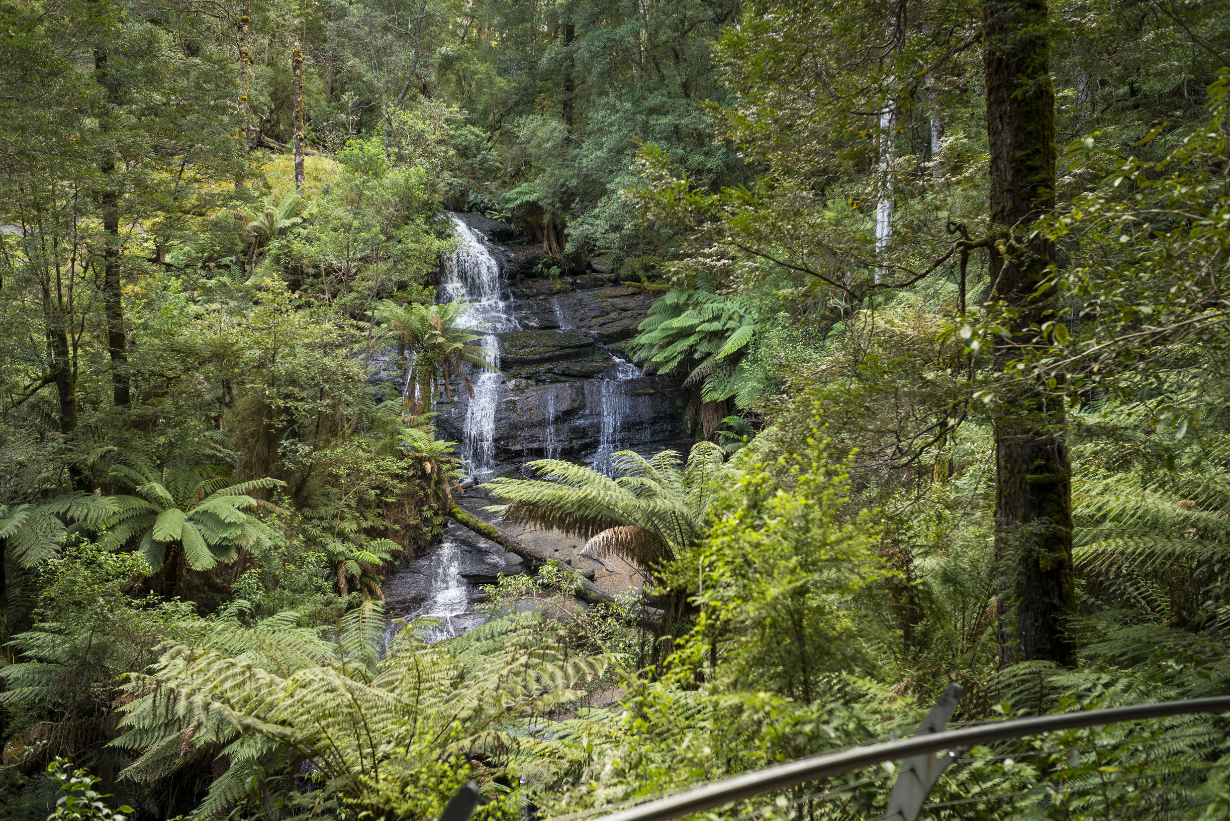 The 11 best waterfalls in Victoria | Waterfalls near Melbourne