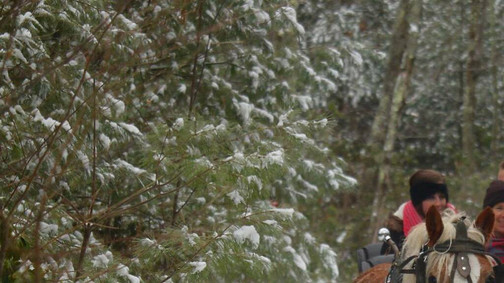 7 Best Sleigh Rides for Families To Take This Winter