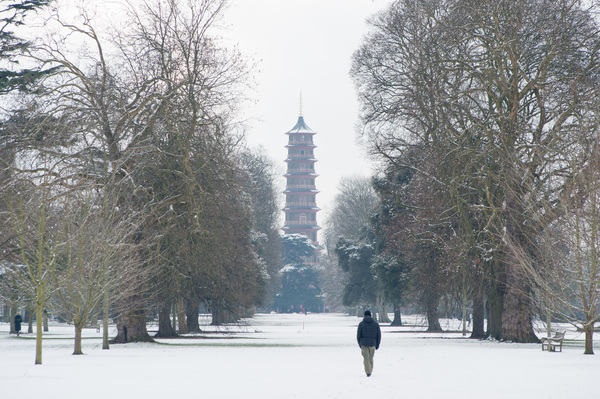 10 Best Winter Walks in London For Frosty Strolls