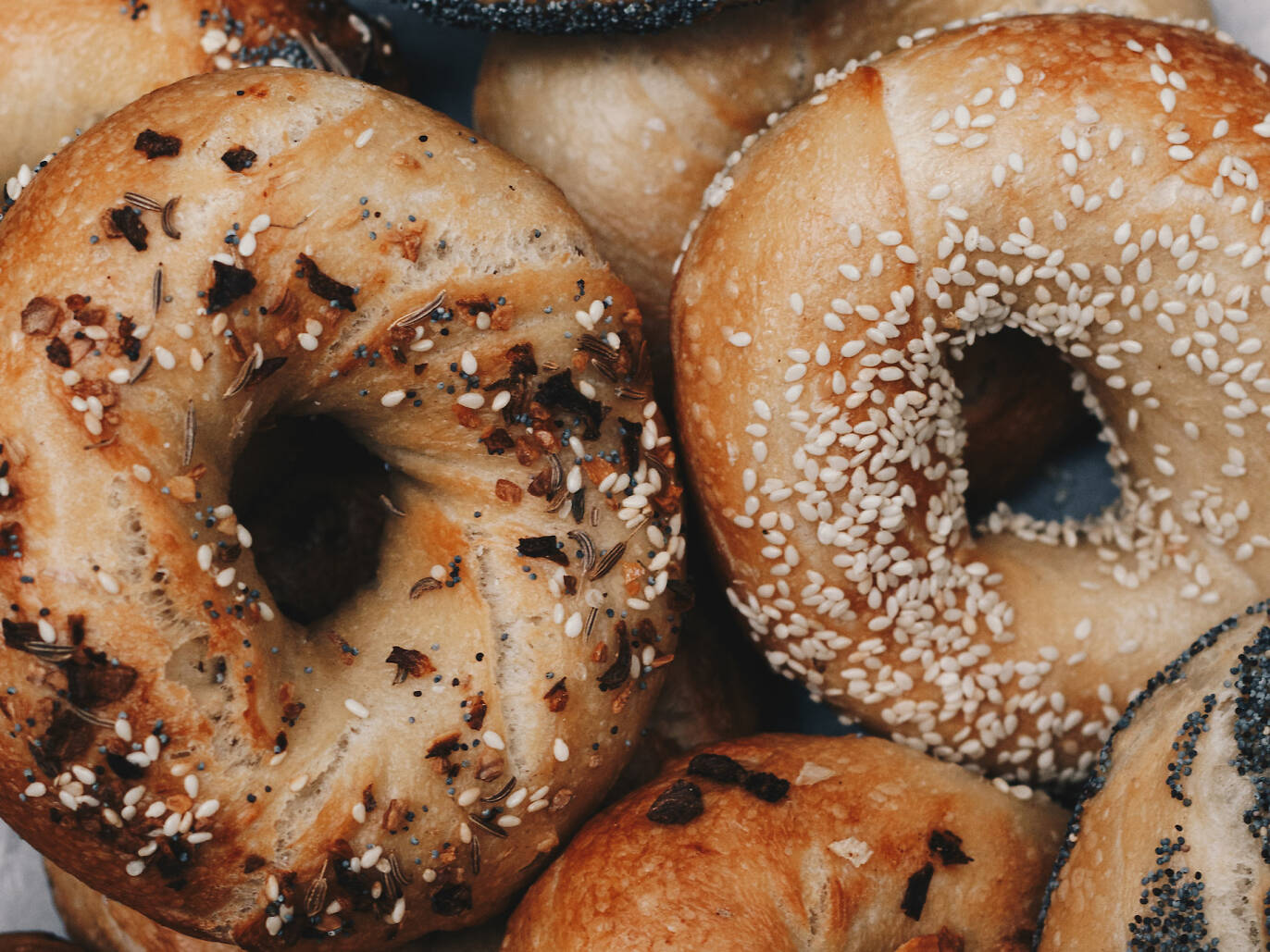 10 Delis in Miami for Old School Noshing to Check Out Now