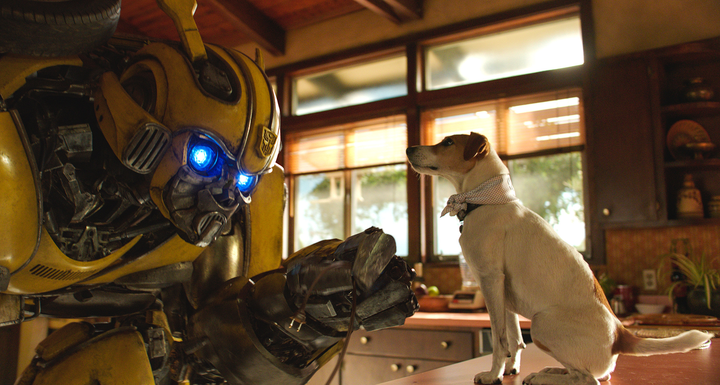 Bumblebee 2018, directed by Travis Knight | Film review