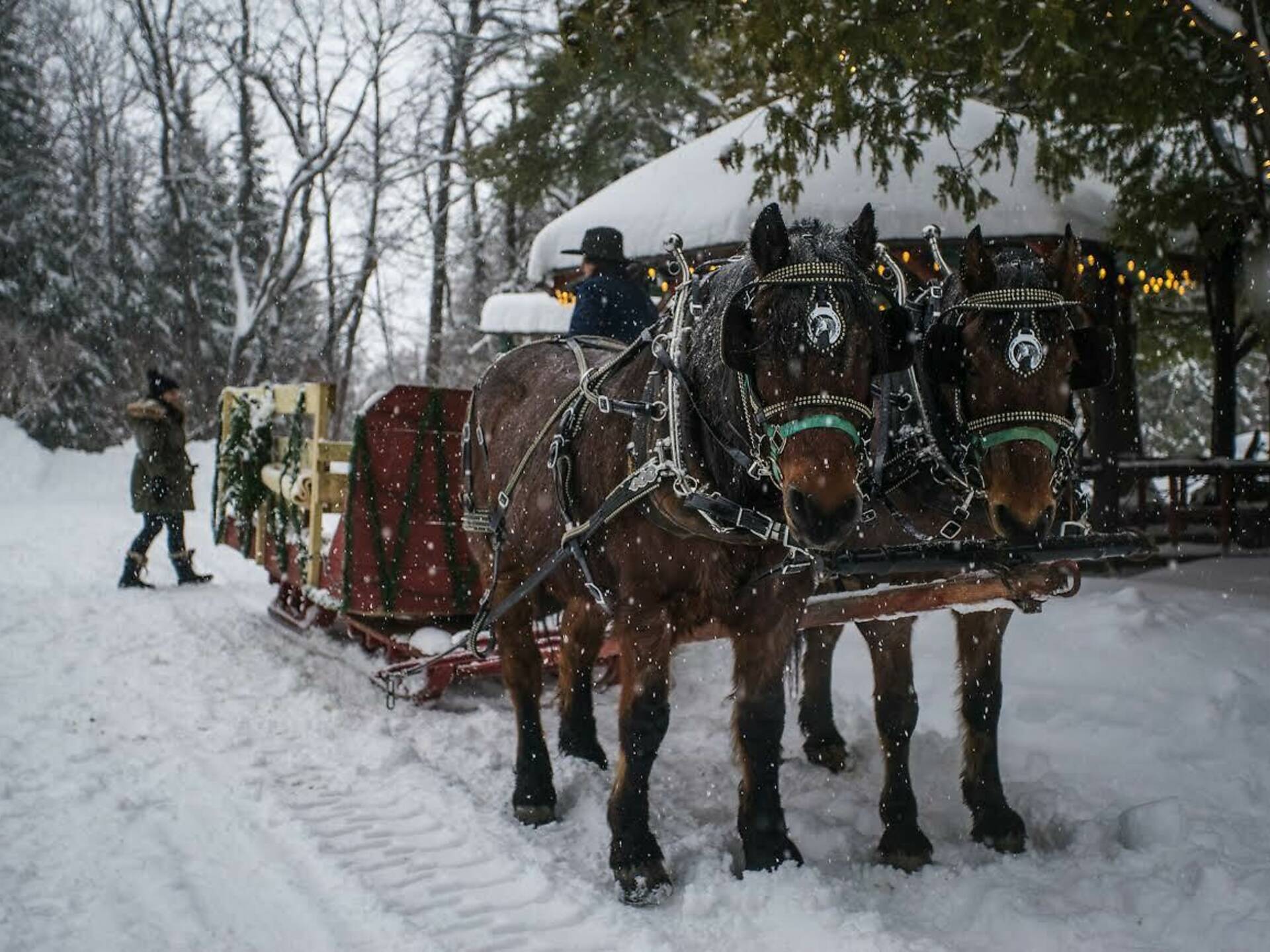 7 Best Sleigh Rides for Families To Take This Winter