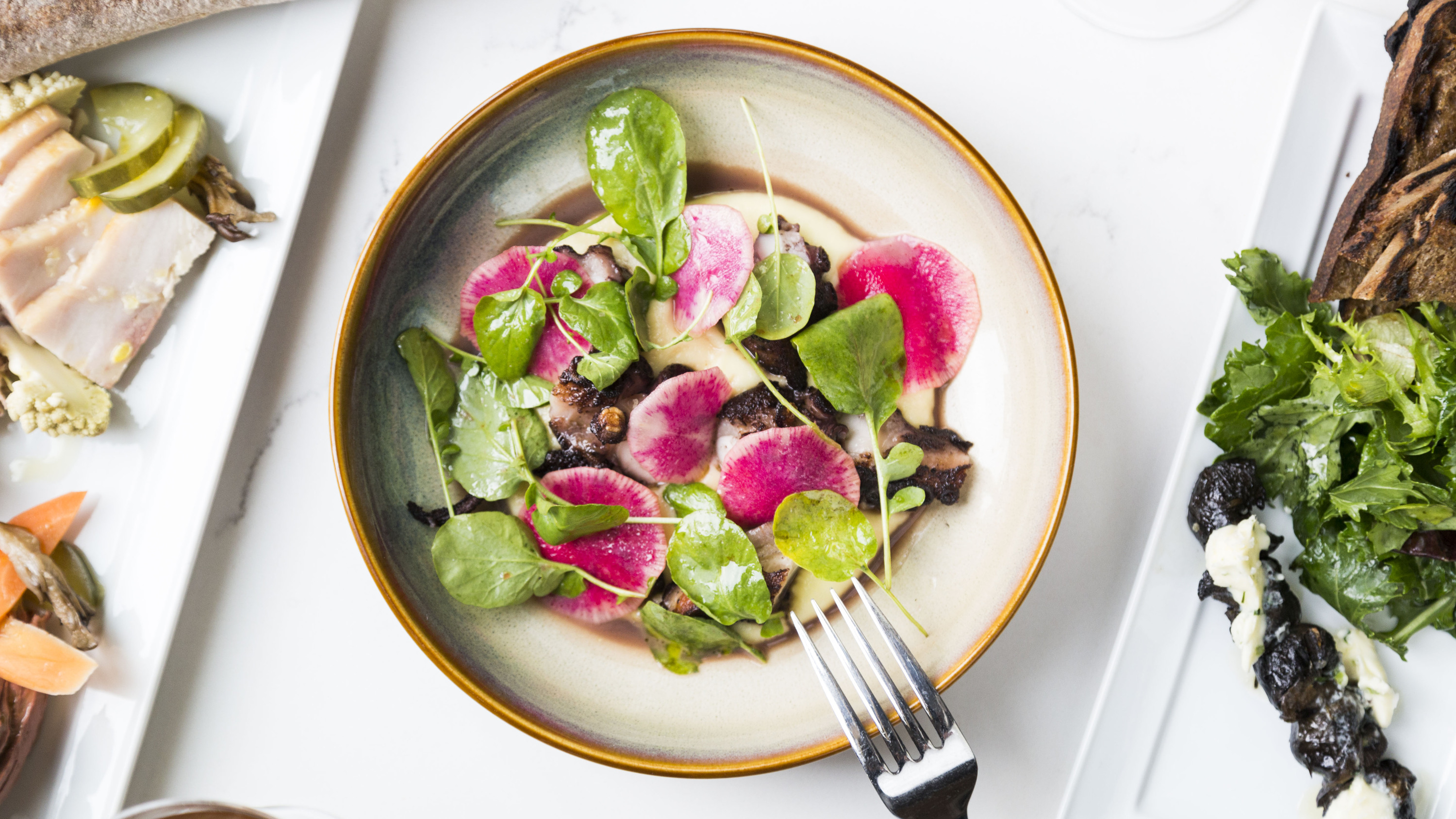 Le Sud | Restaurants in North Center, Chicago