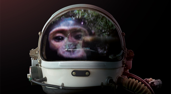 Taller 'Conoce a Hal'