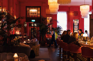 The Coral Room | Bars and pubs in Bloomsbury, London