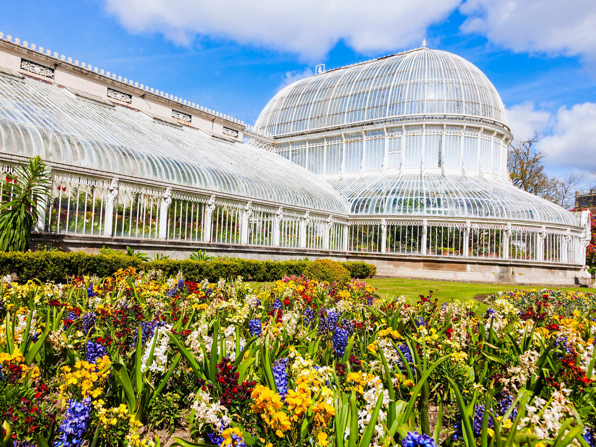 11 Best Things To Do In Belfast Right Now