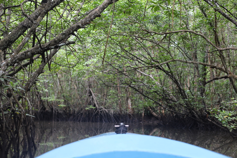 The Ultimate Guide To Bintan: what to see, eat and do on the island