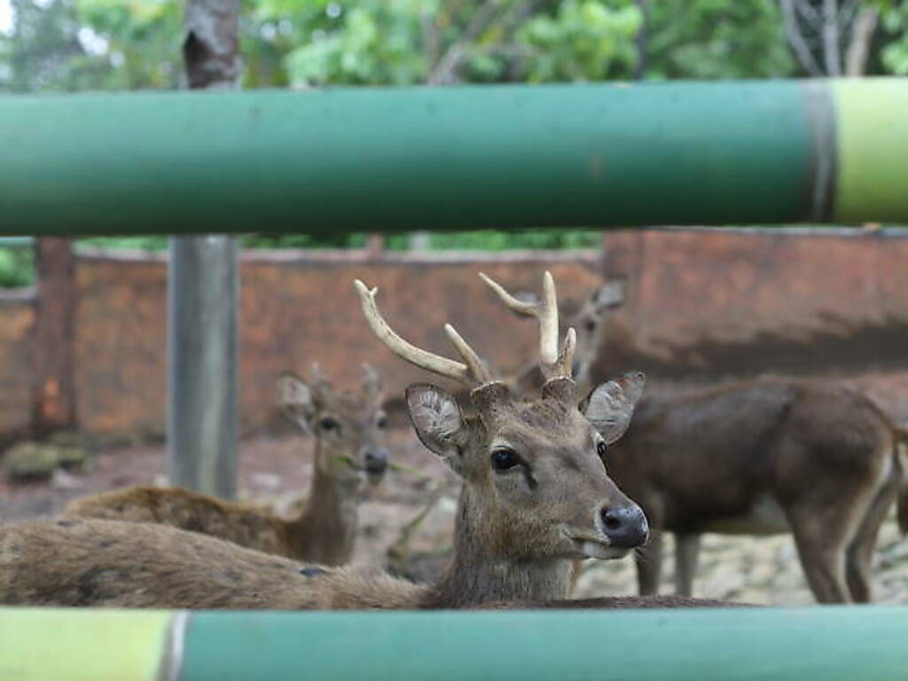 The Ultimate Guide To Bintan: what to see, eat and do on the island